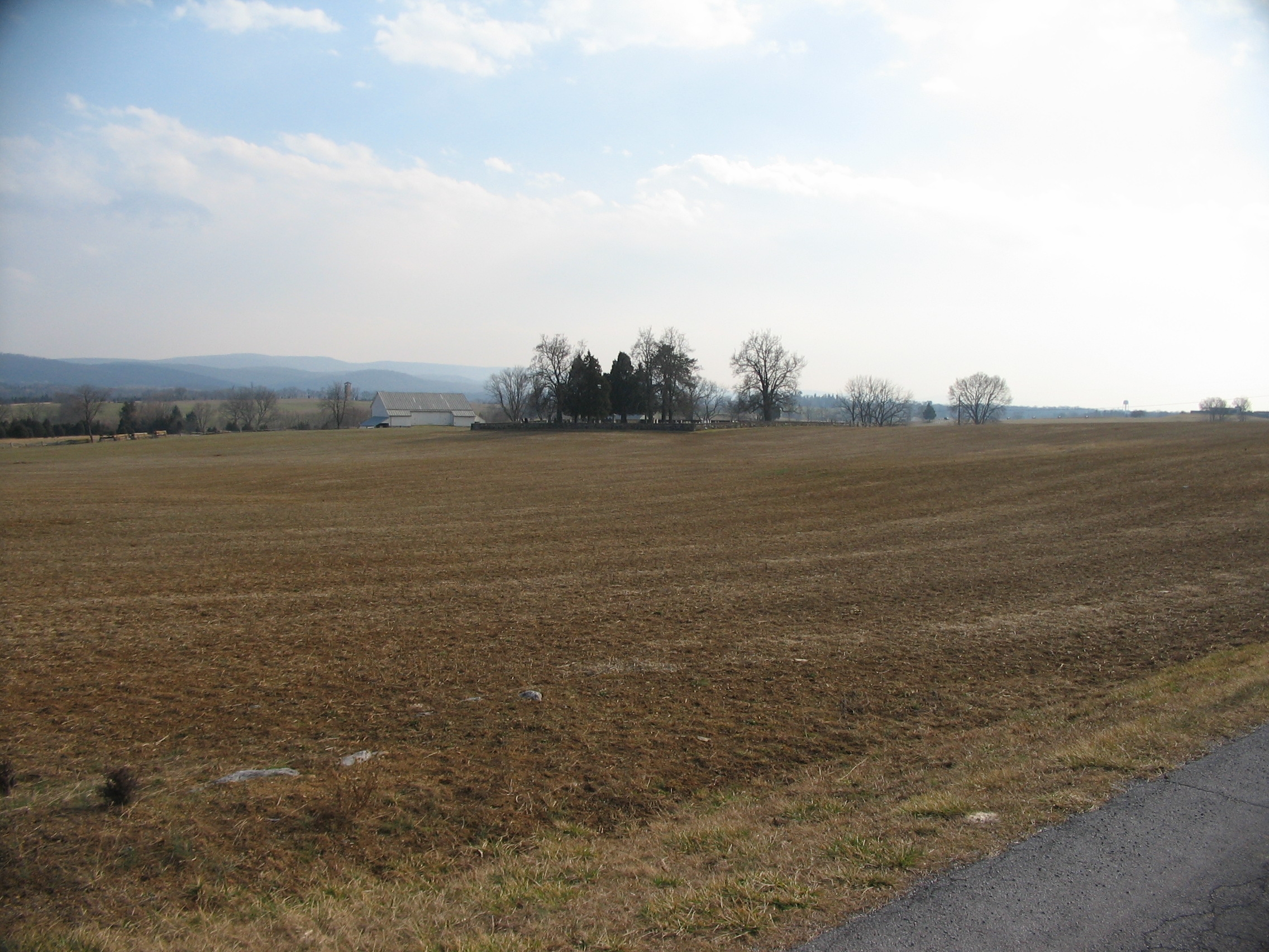 Photo: Mumma Farm