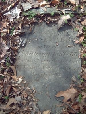 Willoughby Tebbs, a War Memorial