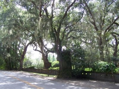 The Wesley Oak Historical Marker