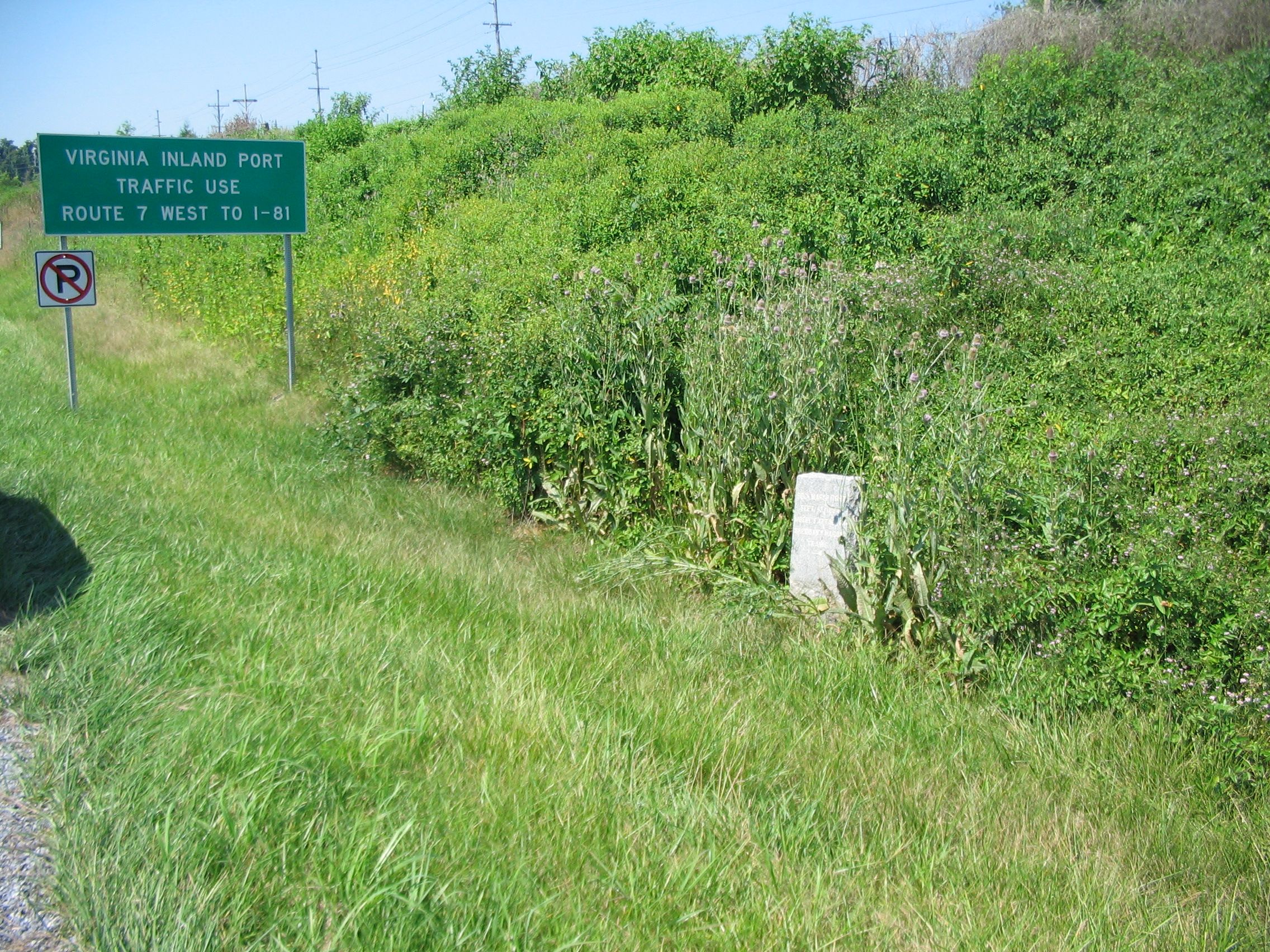 Photo: Buck Marsh Fight Marker at the Highway's Edge