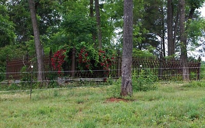 Photo: Capt. Samuel Earle Graveyard
