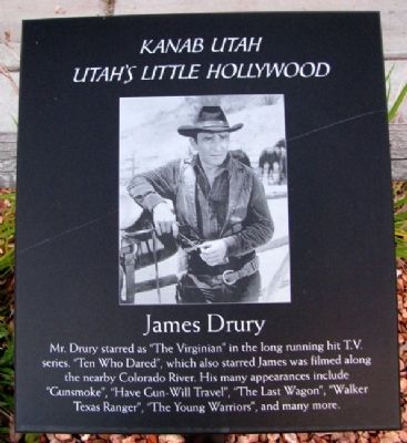 James Drury Today