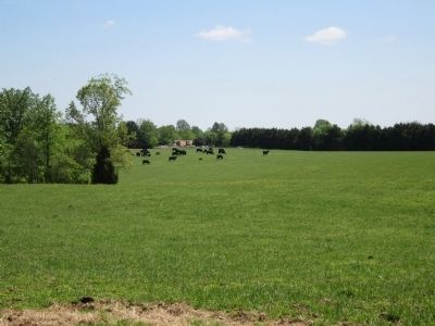 The Battle of Payne’s Farm Historical Marker