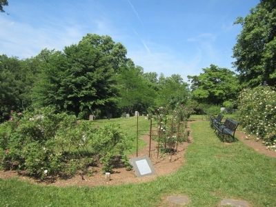 The Carl Porter Cato Rose Collection Historical Marker