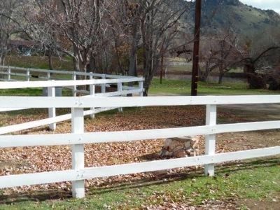 Piute Ranch Homesite of Elizabeth "Lizzie" McGuirk Historical Marker