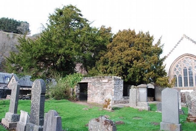 Fortingall Yew Tree Historical Marker