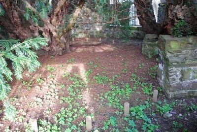 Fortingall Yew Tree Historical Marker