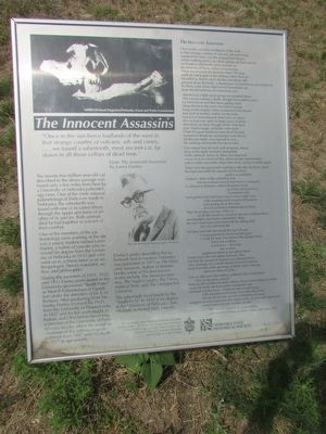 The Innocent Assassins Historical Marker