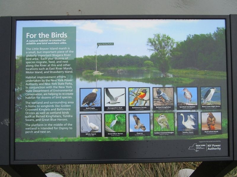 For the Birds Historical Marker