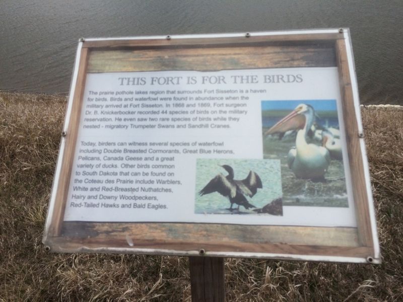 This Fort is for the Birds Historical Marker