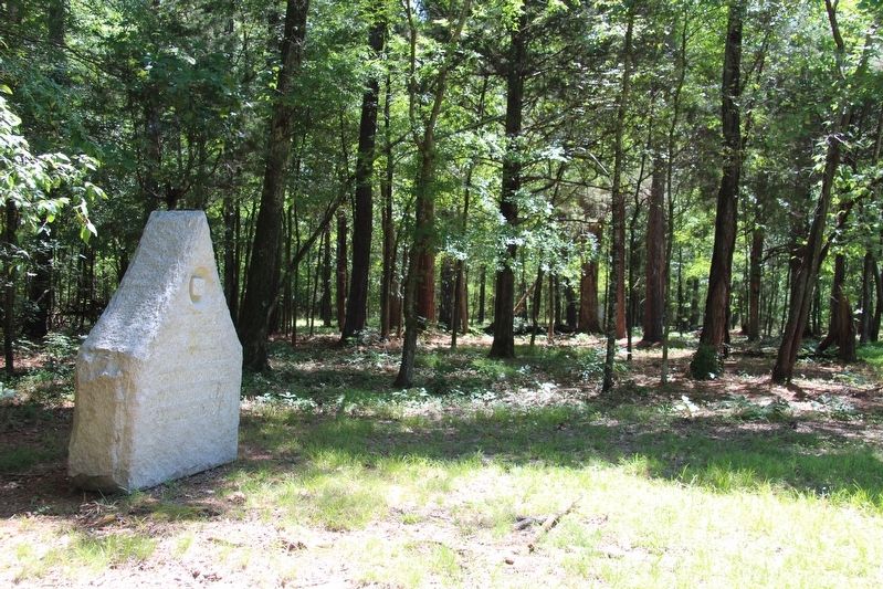 20th Georgia Infantry Historical Marker