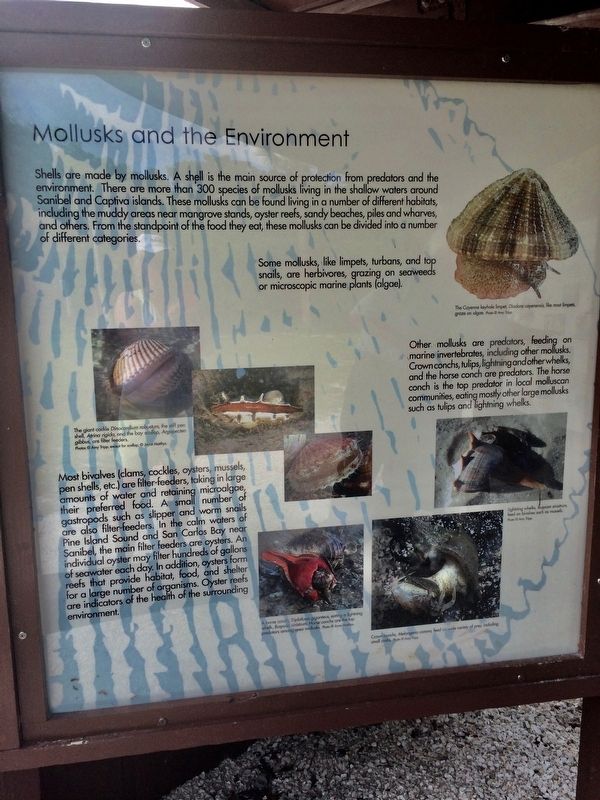 Mollusks and the Environment Historical Marker