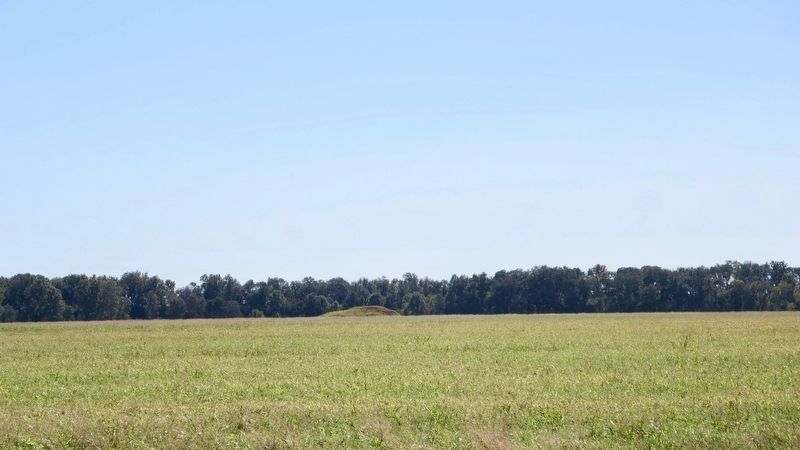 Lower Jackson Mound Historical Marker