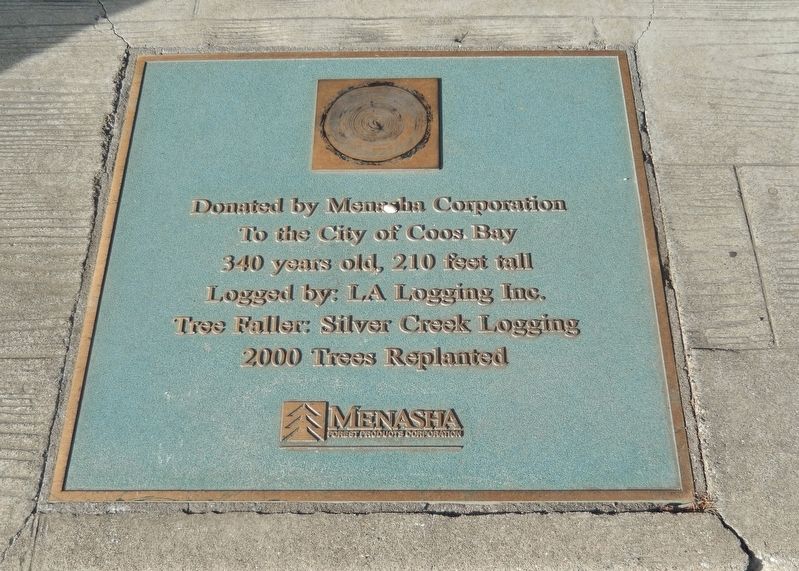 340 Year Old Tree Historical Marker