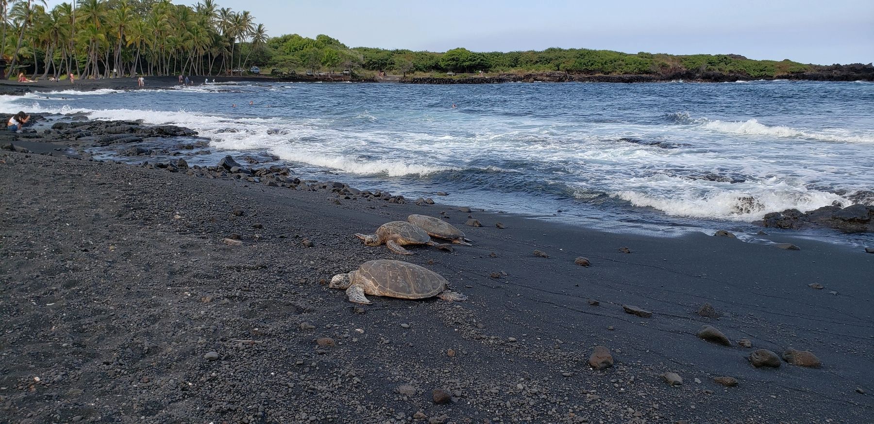 Kauila and the Sea Turtles of Punalu'u Historical Marker