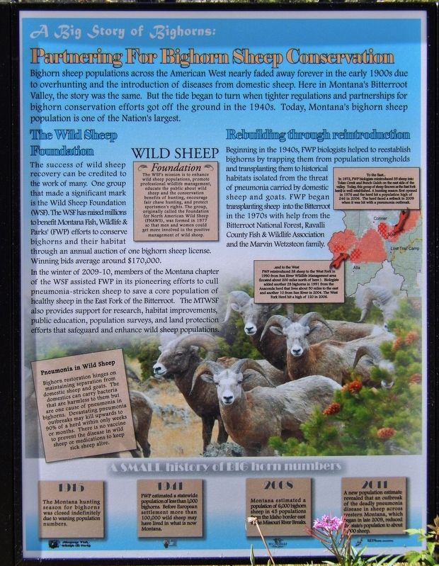 Big Horn Sheep Conservation Historical Marker