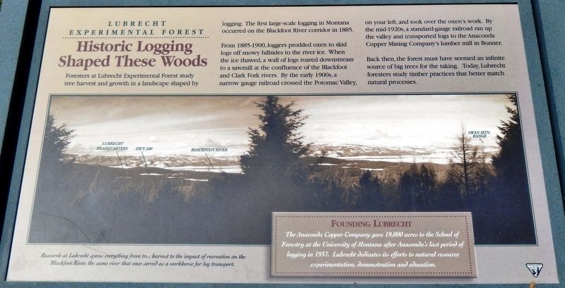 Historic Logging Shaped These Woods Historical Marker