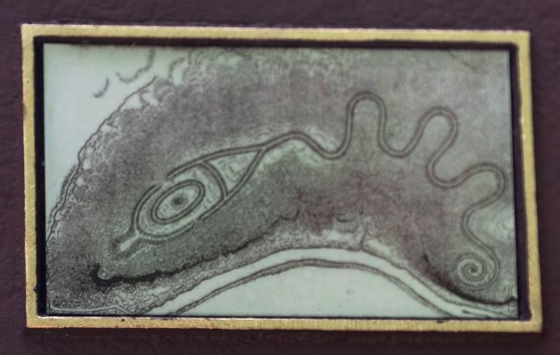 Serpent Mound Historical Marker