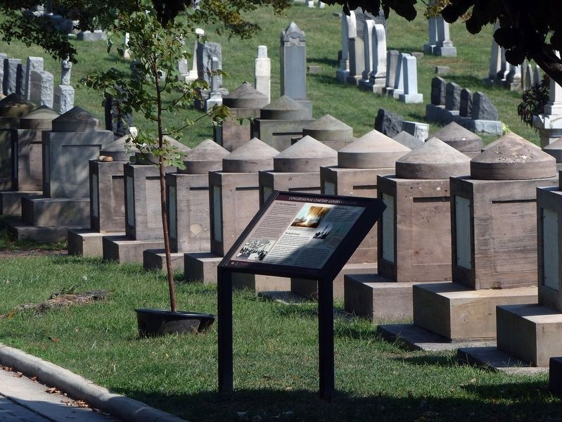 Congressional Cemetery Government Lots Historical Marker