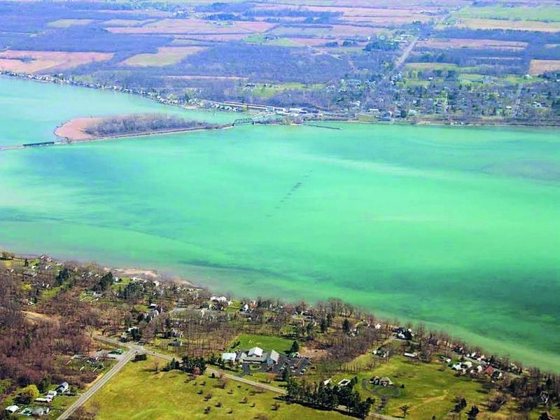 Site of East End of the Cayuga Long Bridge Historical Marker