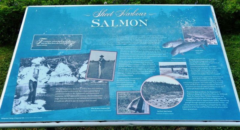 Salmon Historical Marker