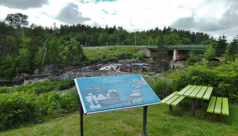 Salmon Historical Marker
