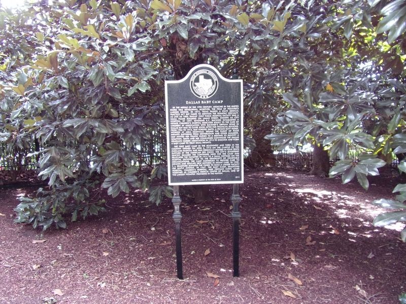 Dallas Baby Camp Historical Marker