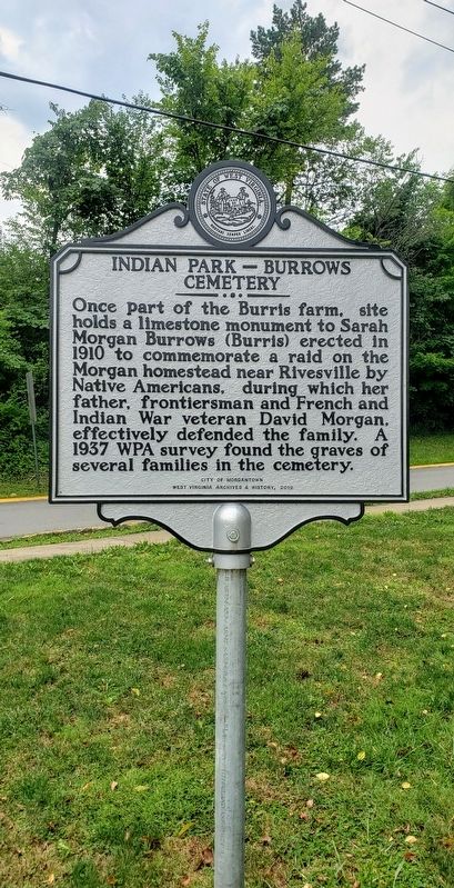 Indian Park - Burrows Cemetery Historical Marker