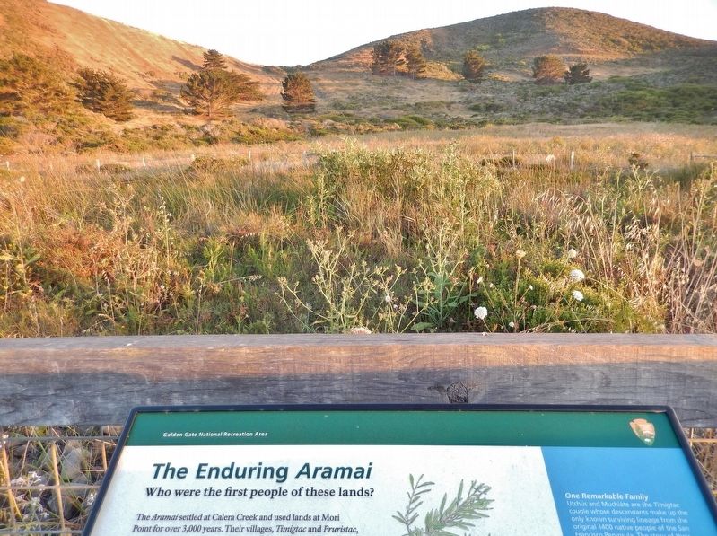 The Enduring Aramai Historical Marker
