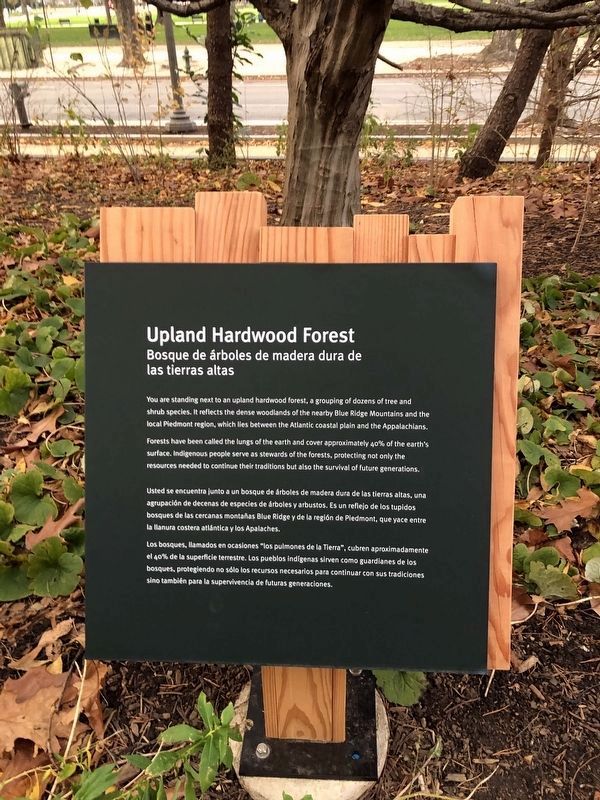 Upland Hardwood Forest Historical Marker