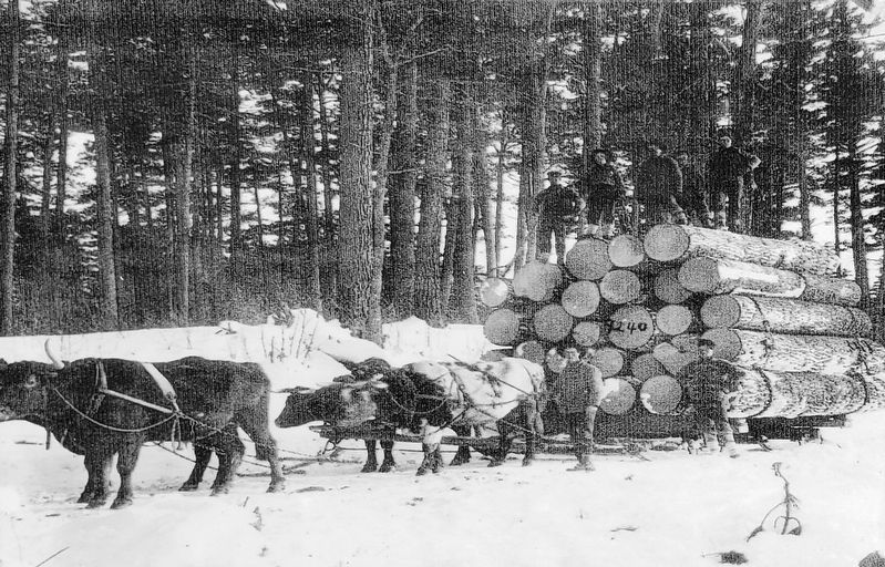 Logging and Lumbering in the Rice Lake Area Historical Marker