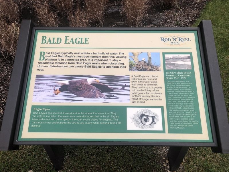 Bald Eagle Historical Marker