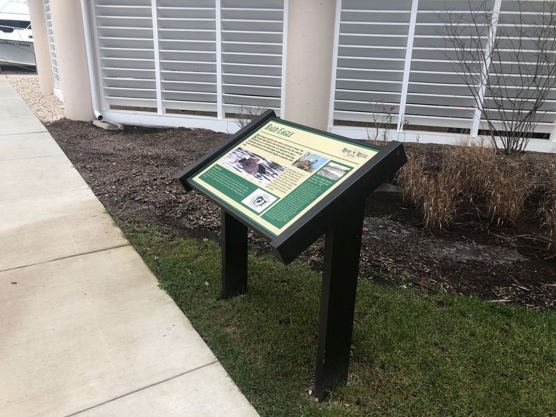 Bald Eagle Historical Marker