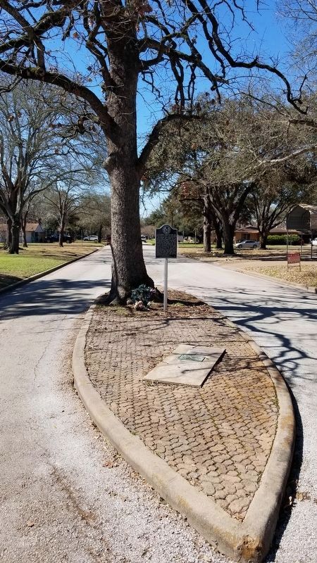 Colored Graveyard in the Old Town of Hearne Historical Marker