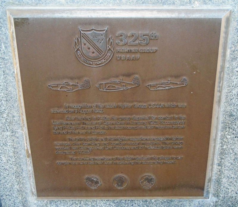 325 th Fighter Group, a War Memorial