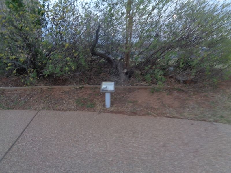 North Fork of the Red River Historical Marker
