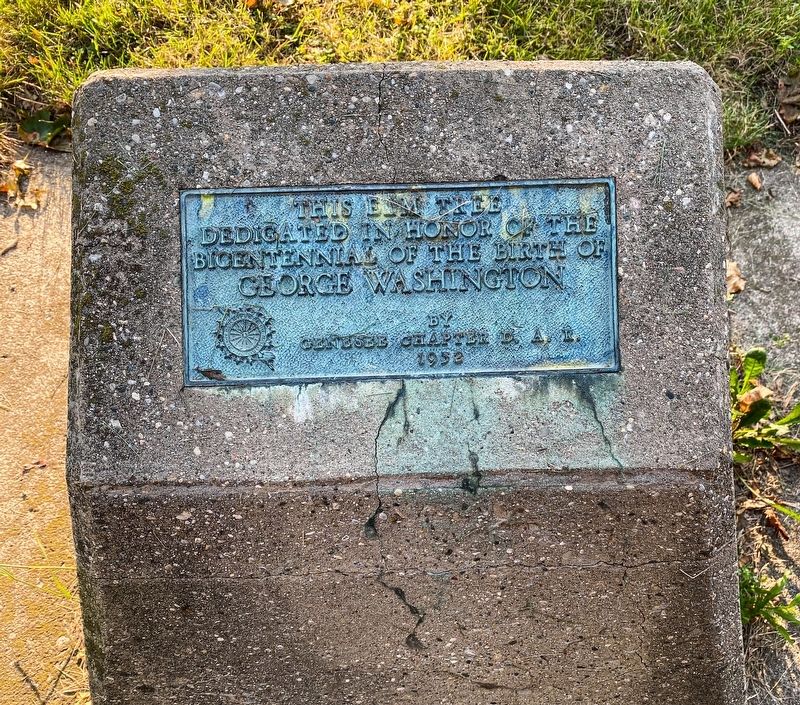 George Washington Elm Tree Historical Marker