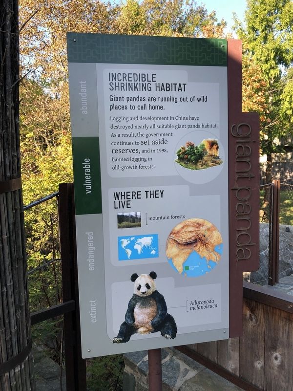 Giant Panda Historical Marker