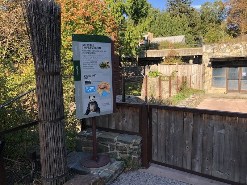 Giant Panda Historical Marker