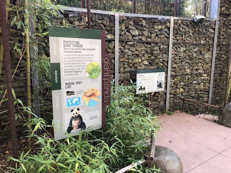 Giant Panda Historical Marker