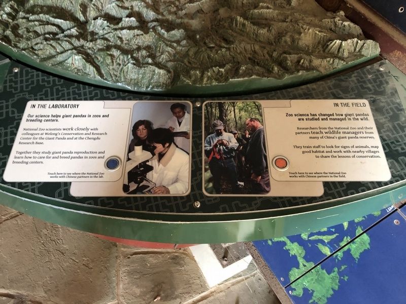 Giant Pandas Historical Marker