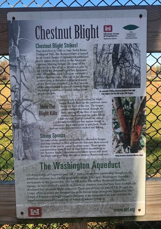 Chestnut Blight Historical Marker