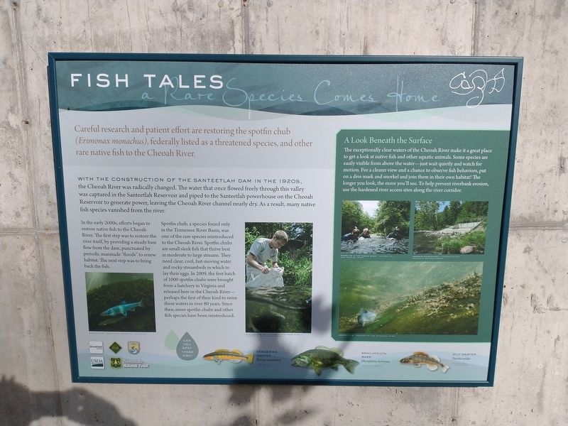 Shaping the Flow of the Cheoah River Historical Marker