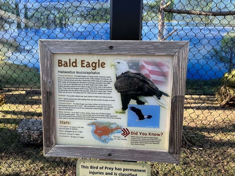 Bald Eagle Historical Marker