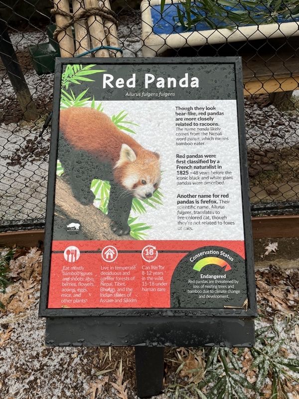 Red Panda Historical Marker