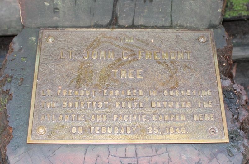 The Lt. John C. Fremont Tree Historical Marker