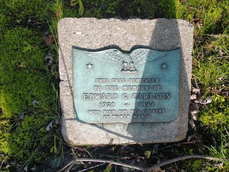 Edward G. Carlson, a War Memorial