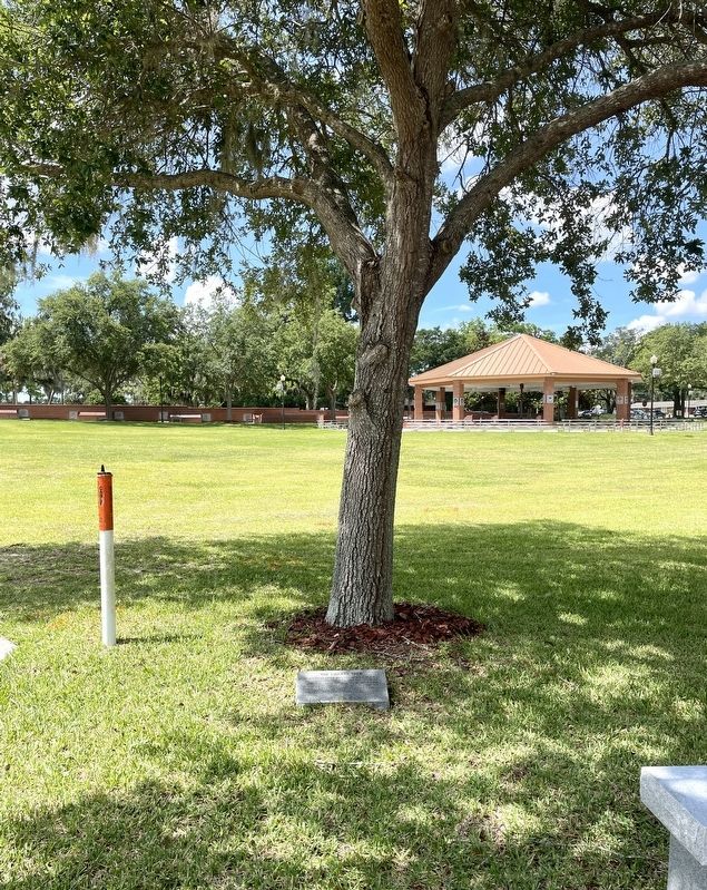 The Liberty Tree, a War Memorial