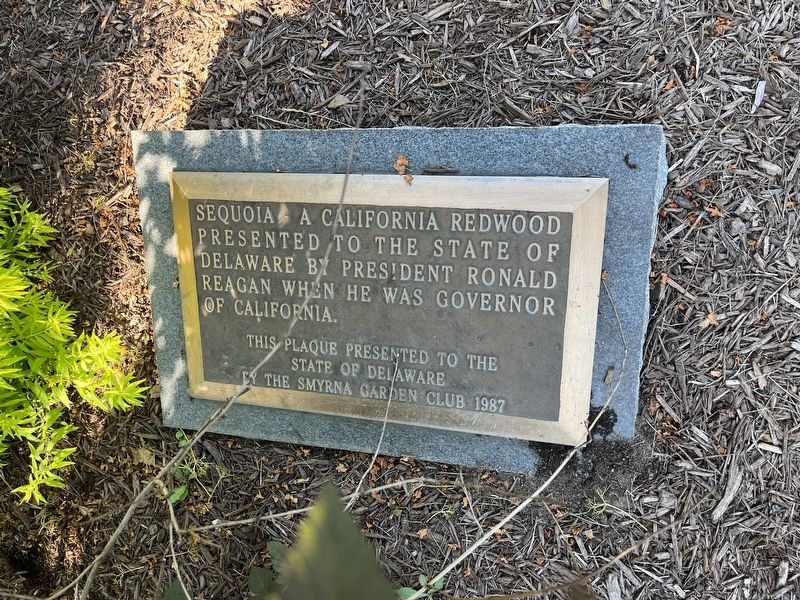 Sequoia - A California Redwood Historical Marker