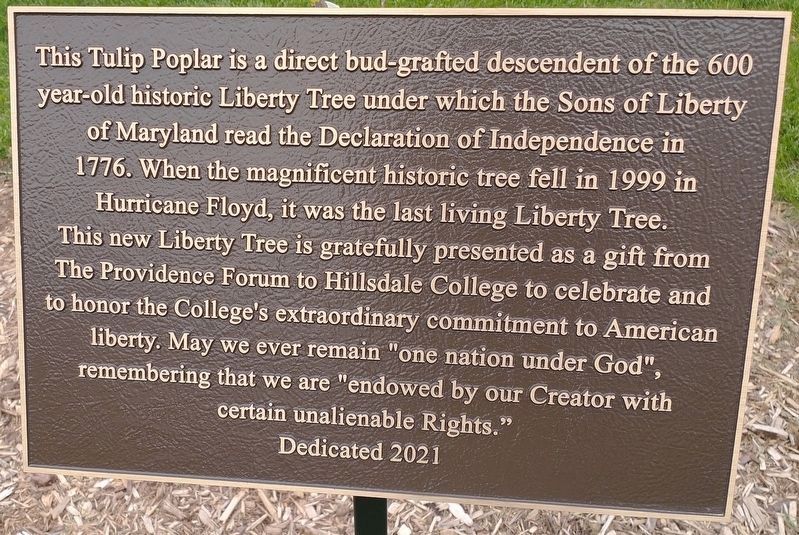 Liberty Tree Descendent Historical Marker